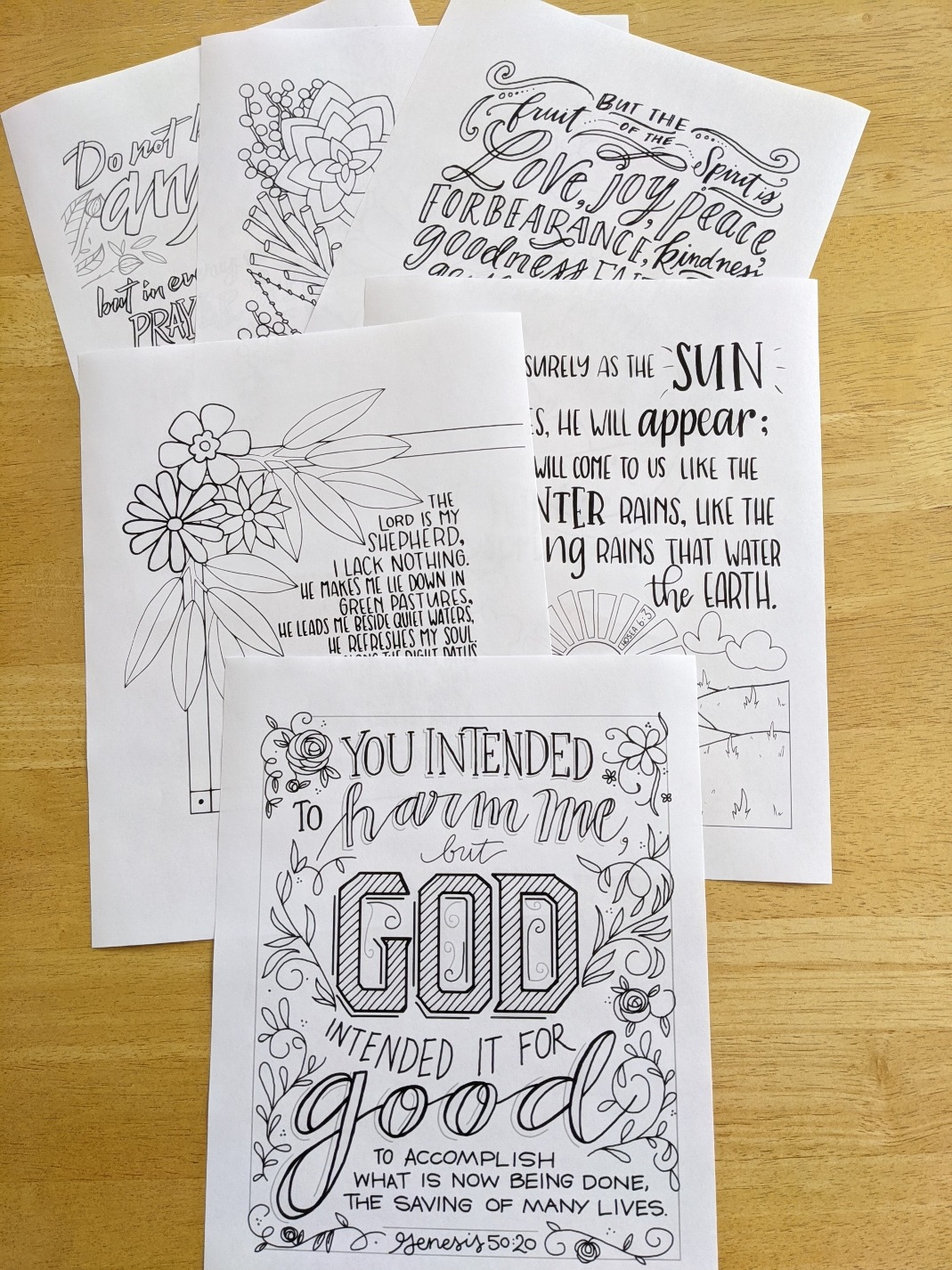 NIV Beautiful Word Coloring Bible Gift Set For Girls – Moy Chronicles